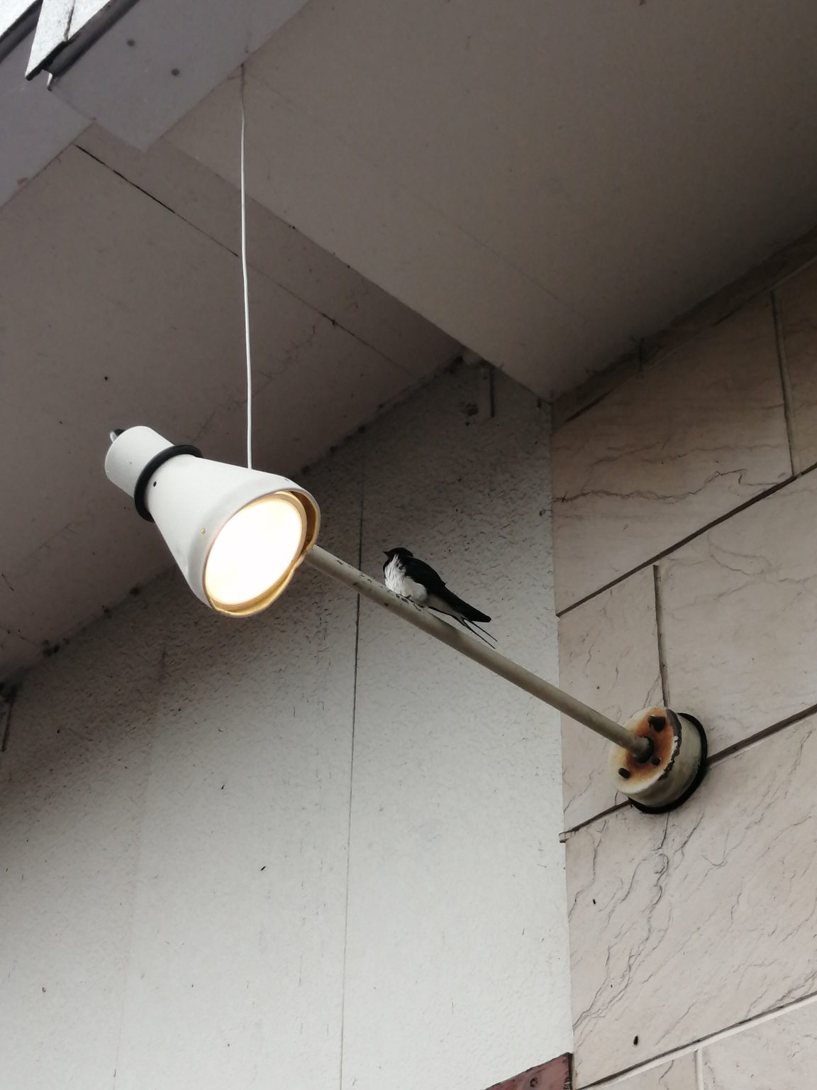 IMG_20220610_082026 | T.place